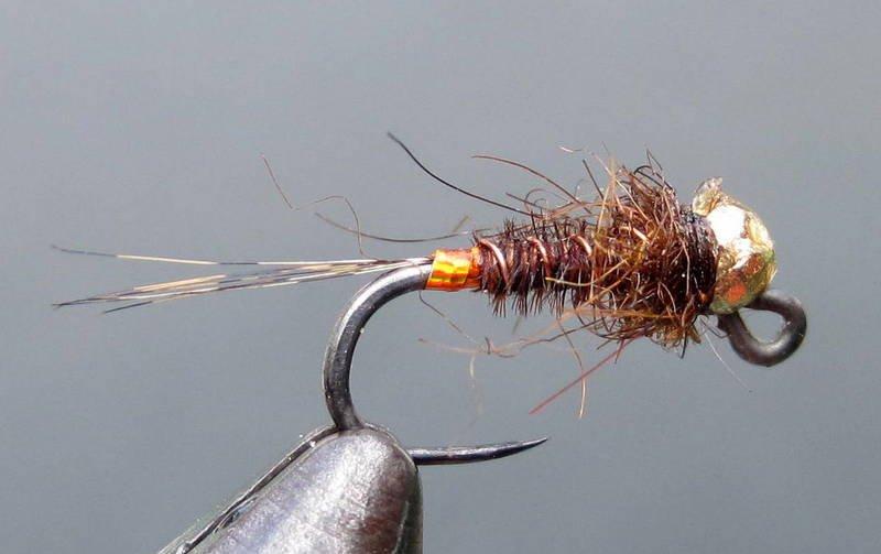 Evolutionary aspects of the modern nymph - TomSutcliffe - The Spirit of ...